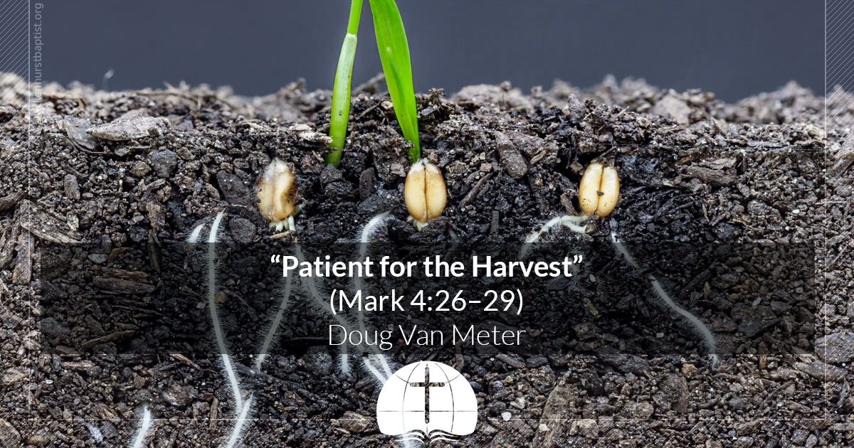 Patient for the Harvest (Mark 4:26–29) | Brackenhurst Baptist Church