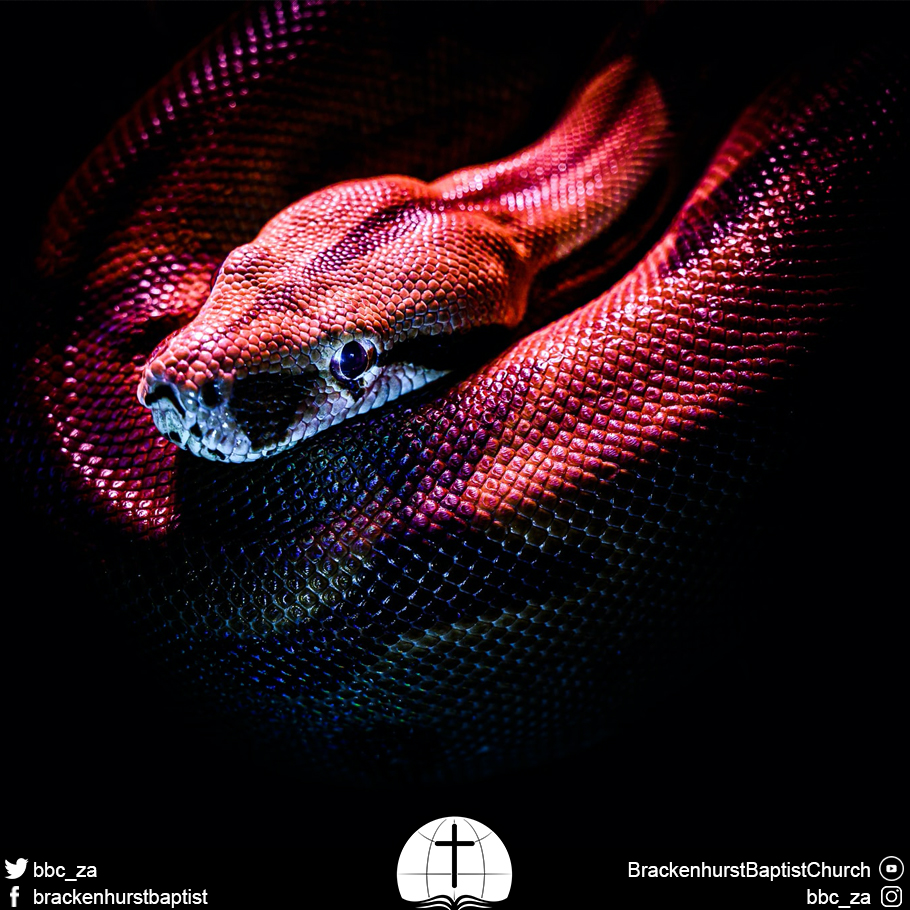 Snake Crushers | Brackenhurst Baptist Church